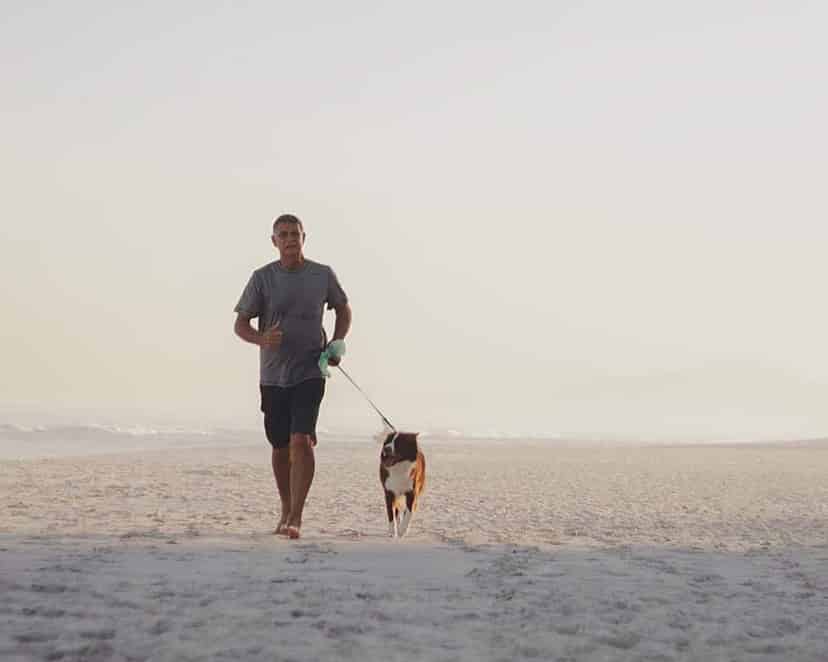 Programme de reprise du sport pour son chien
